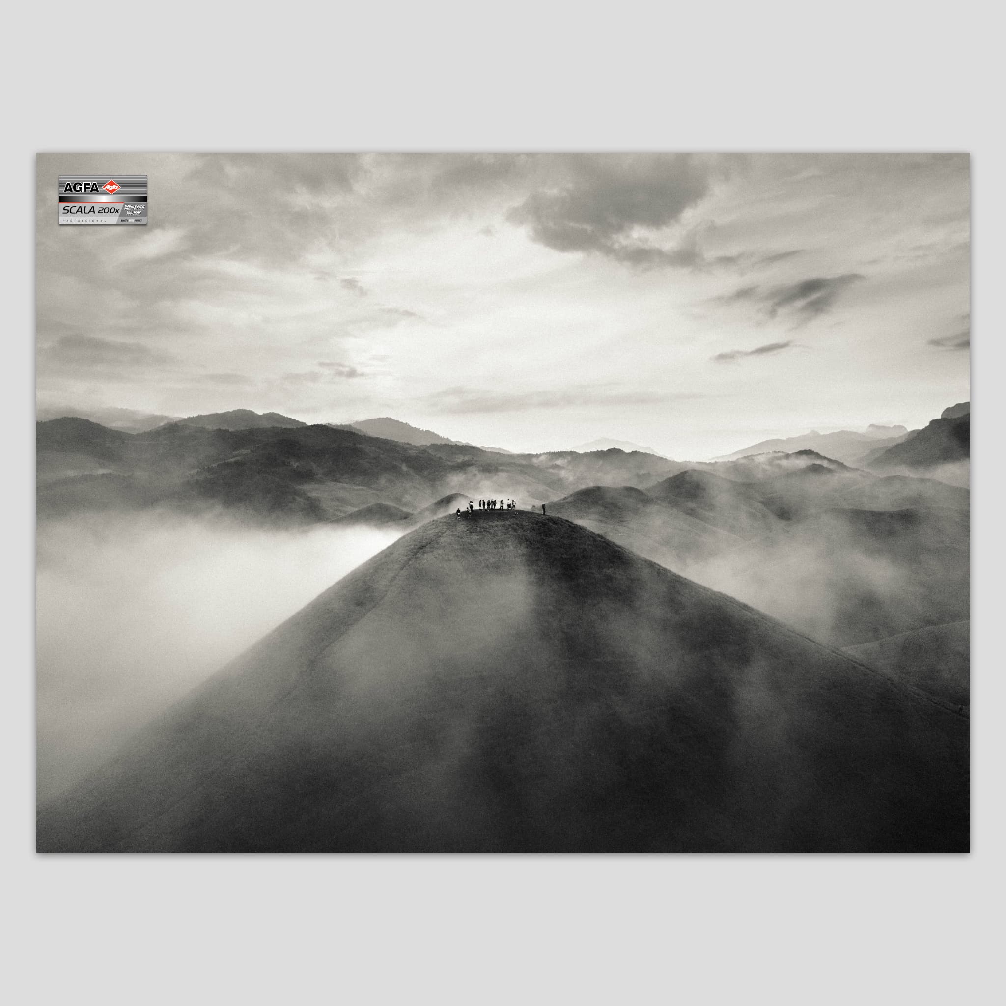 สินค้า Archive - DozzDIY